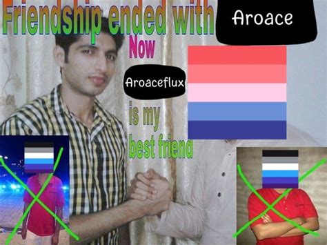 So Since I Figured Out Im Actually Aroaceflux Here Are Some Memes