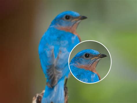 Hiai Hiai Ide Huawei Developer