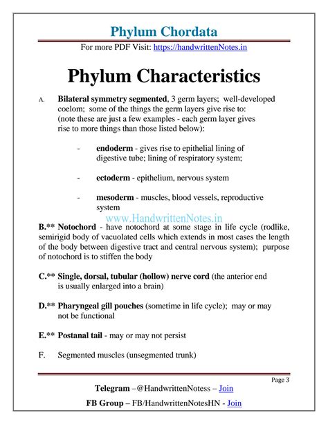 Solution Zoology Phylum Chordata Notes Studypool