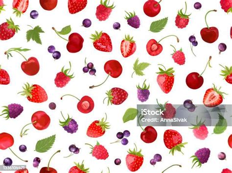 수채화 체리 딸기 라즈베리 블랙 커런트 매끄러운 패턴 여름 열매 과일 잎 꽃 배경 봄 커버 열대 벽지 질감 배경에 대한 벡터 일러스트 0명에 대한 스톡 벡터 아트 및 기타