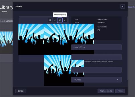 Strapi V550 Media Library Crop Option Not Working In Production Mode