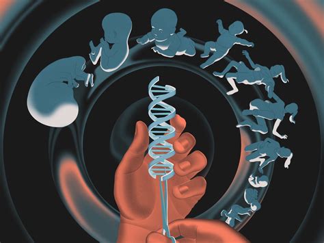 Crispr And Beyond The Future Of Genetic Editing