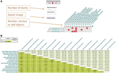 Screen Shots Of The ‘analyze My Gene Lists And ‘comparison View The Download Scientific