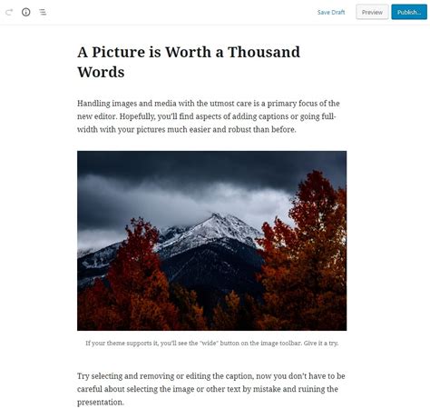 Quick Guide On WordPress Gutenberg Editor MotoPress