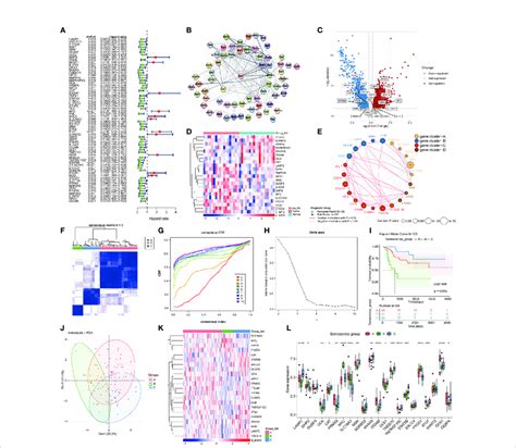 Prognostic Gene Screening And Consensus Clustering A Univariate Cox Download Scientific