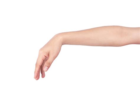 여자의 손은 흰색에 고립 된 물건을 따기의 제스처를 보여줍니다 개념에 대한 스톡 사진 및 기타 이미지 개념 개념과 주제