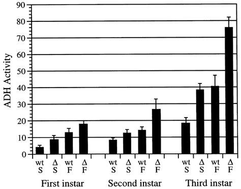 —average Adh Activity Of Wt S 17621769 S Download Scientific Diagram