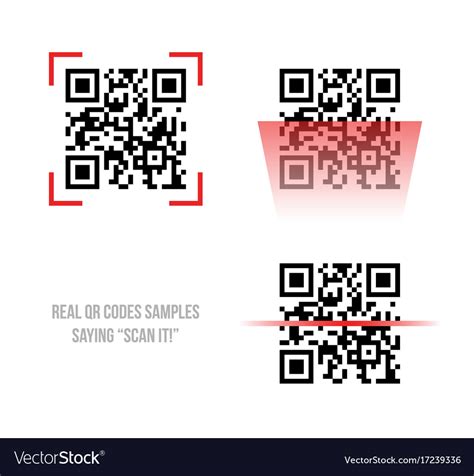 Qr Code Samples Royalty Free Vector Image Vectorstock