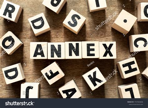 10 306 Annex I Images Stock Photos Vectors Shutterstock