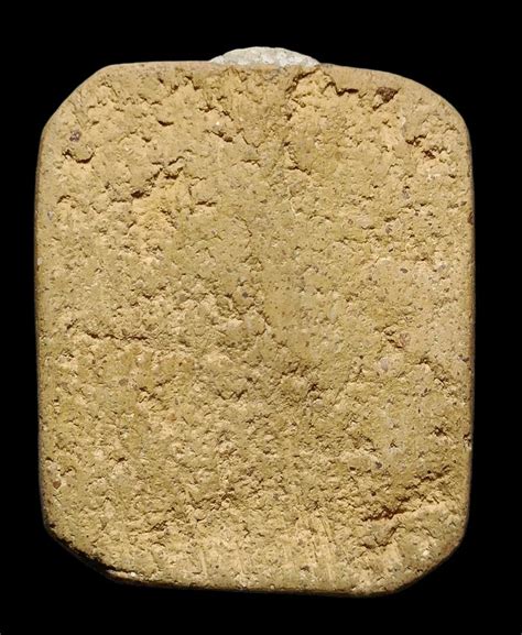 หลวงพ่อปาน วัดบางนมโค ไก่หางพวง