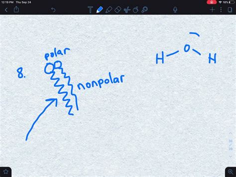 Solved What Should Be The Feature Of Detergent Molecule Structure To Be Biodegradable A It