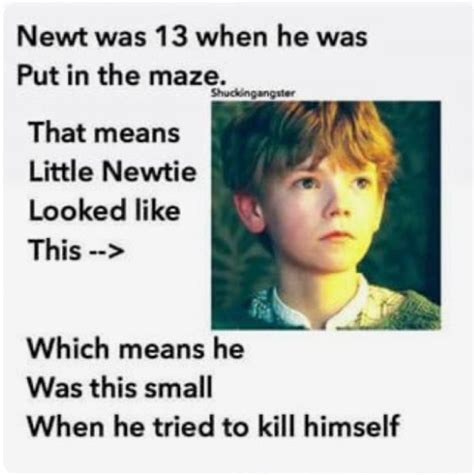 The Maze Runner Memes Artofit
