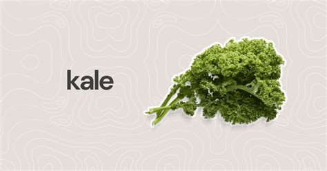 10 Best Supplements For Cell Regeneration Trumeta