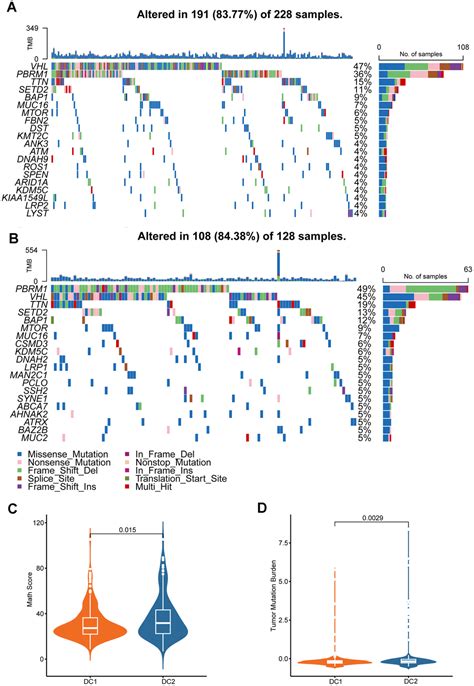 A New Perspective Deciphering The Aberrance And Clinical Implication Of Disulfidptosis