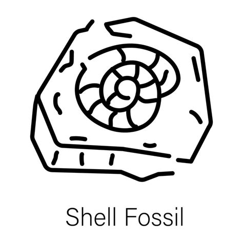 Trendy Shell Fossil 39214335 Vector Art At Vecteezy Trendy Shell Fossil 39214335 Vector Art At Vecteezy
