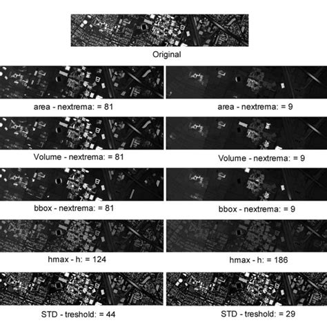 Hyperspectral And Lidar Data Fusion Using Extinction Profiles And Deep Convolutional Neural