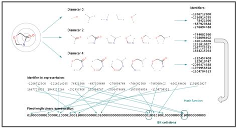From Theory To Code A Deep Dive Into Molecular Extended Connectivity
