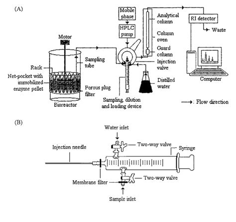 A Schematic Diagram Of The Coupled HPLC Analysis System And B The Download Scientific