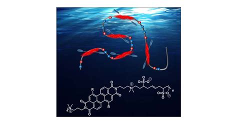 Perylene Diimide Based Ionene And Zwitterionic Polymers Synthesis And Solution Photophysical