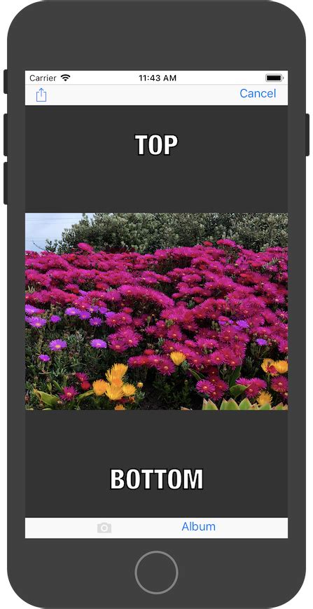 Ios How To Prevent Uitoolbar From Getting Resized When Uiimageview