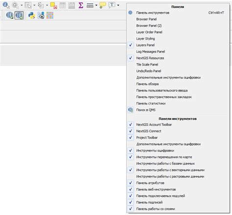 after first install no identification panel · issue 89 · nextgis