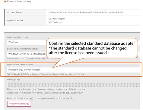 about the standard database adapter for dataspider servista basic