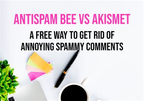 Antispam Bee VS Akismet Which Is Best WPkind