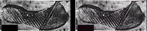 github midoi327 image restoration system image restoration system