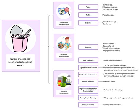 Probiotic Functional Yogurt: Challenges and Opportunities