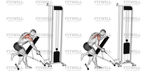 Cable Single Arm Low Scapular Row Exercise Guide Video Techniques Benefits How To Muscles