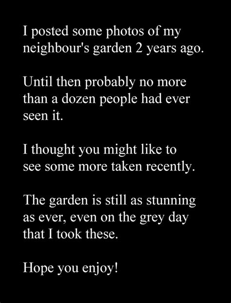 My Neighbours Hidden Treasure Revisited Album On Imgur