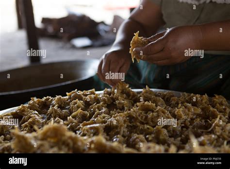 Medium Close Up Shot Of Burmese Womans Hands Making Palm Sugar Candy On Palm Farm In Bagan