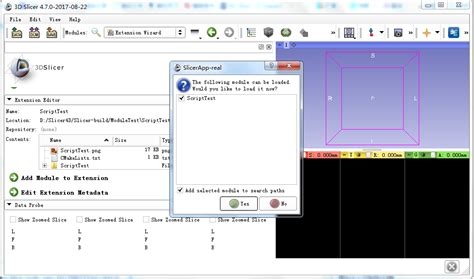 D Slicer Module ExtensionWizard Build Install 一杯清酒邀明月 博客园