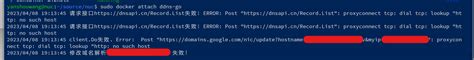 Bug ：docker 配置代理报错 · Issue 665 · Jeessy2ddns Go · Github