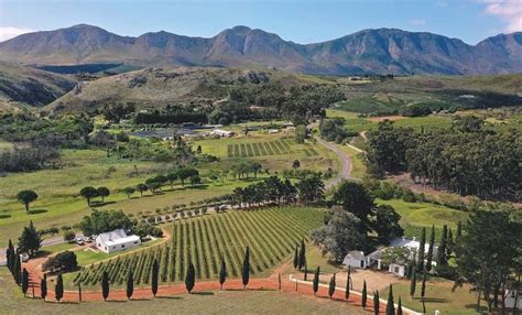Hamilton Russell Vineyards Decanter Food Beverage Read This Story