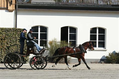 Don Ovan Mandoline Fm Unsere Freiberger Seite