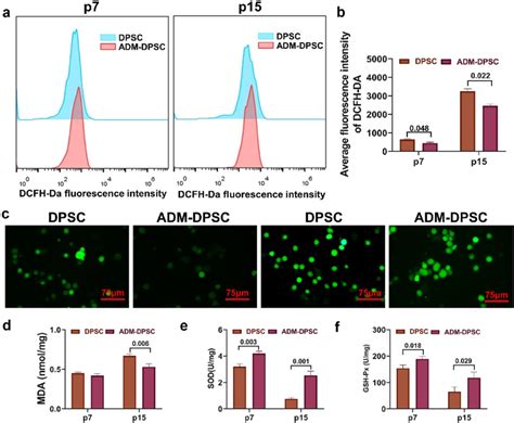 effect of adm overexpression on the oxidative stress level of human