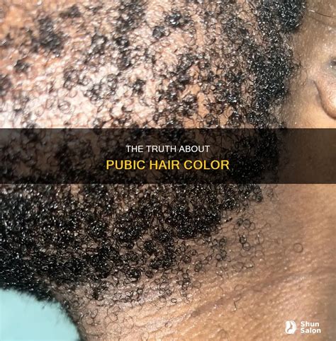 The Truth About Pubic Hair Color Shunsalon