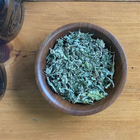 Catnip Tea Etsy