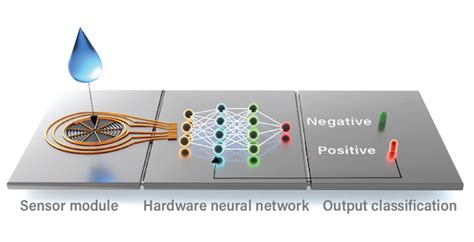 New Memcapacitor Devices For Neuromorphic Computing Applications Artofit