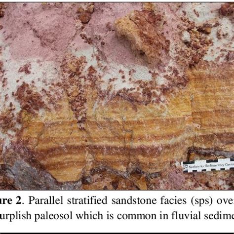 Pdf Sedimentology And Reservoir Implication Of Syn Rift Alluvial Fluvial System In The