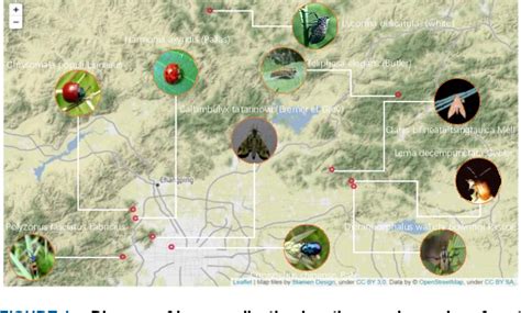 Figure 1 From Recognizing Pests In Field Based Images By Combining