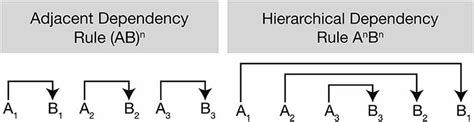 Difference Between Adjacent Dependency And Hierarchical Dependency Download Scientific Diagram