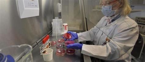 How Your Dead Microbes Could Improve Public Health World Economic Forum