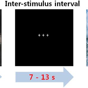 The Event Related Paradigm For Sexual Desire Download Scientific Diagram