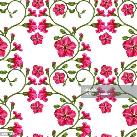 결혼식 어머니의 날 여성의 날 아버지의 날 발렌타인 데이 생일 봄과 여름 꽃다발을 위한 물망초가 있는 수채화 이음매 없는 패턴 흰색 배경에 분리된 요소