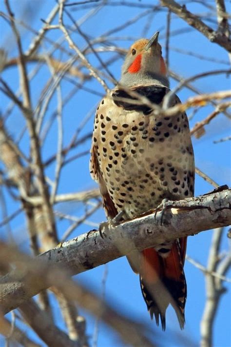 flicker — corica park open space project