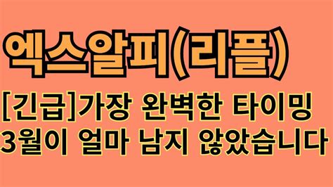 엑스알피리플 코인 전망 🚨매수해야하는 가장 완벽한 타이밍 4월부터 불바다 Youtube