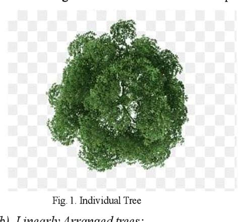 Figure 1 From Tree Profiling And Data Analysis Of Forest Canopy Cover Using Aerial Images