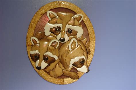 Raccoons Peeking Out Kathy Wise Pattern Design